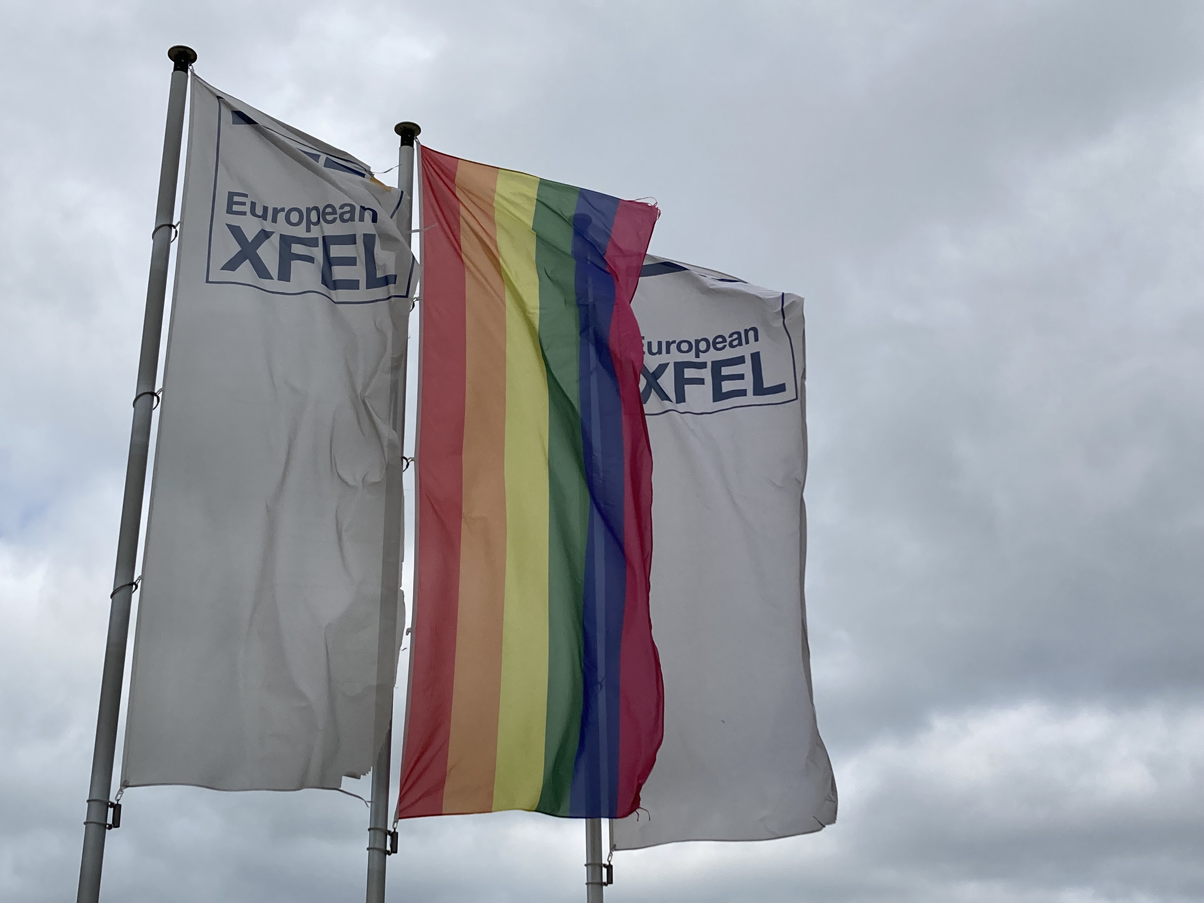 XFEL: European XFEL feiert Diversity Day